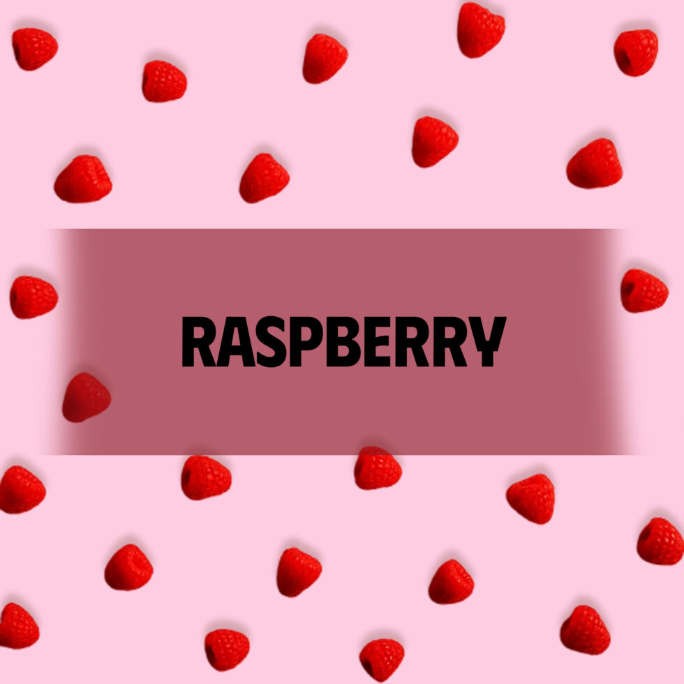 Salty Berry World Archives - Salty World